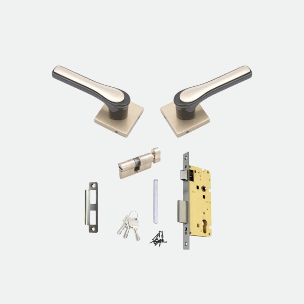 Mortise Rose Door Handle Set with Lock Body, Satin Black Finish, 10 In ...
